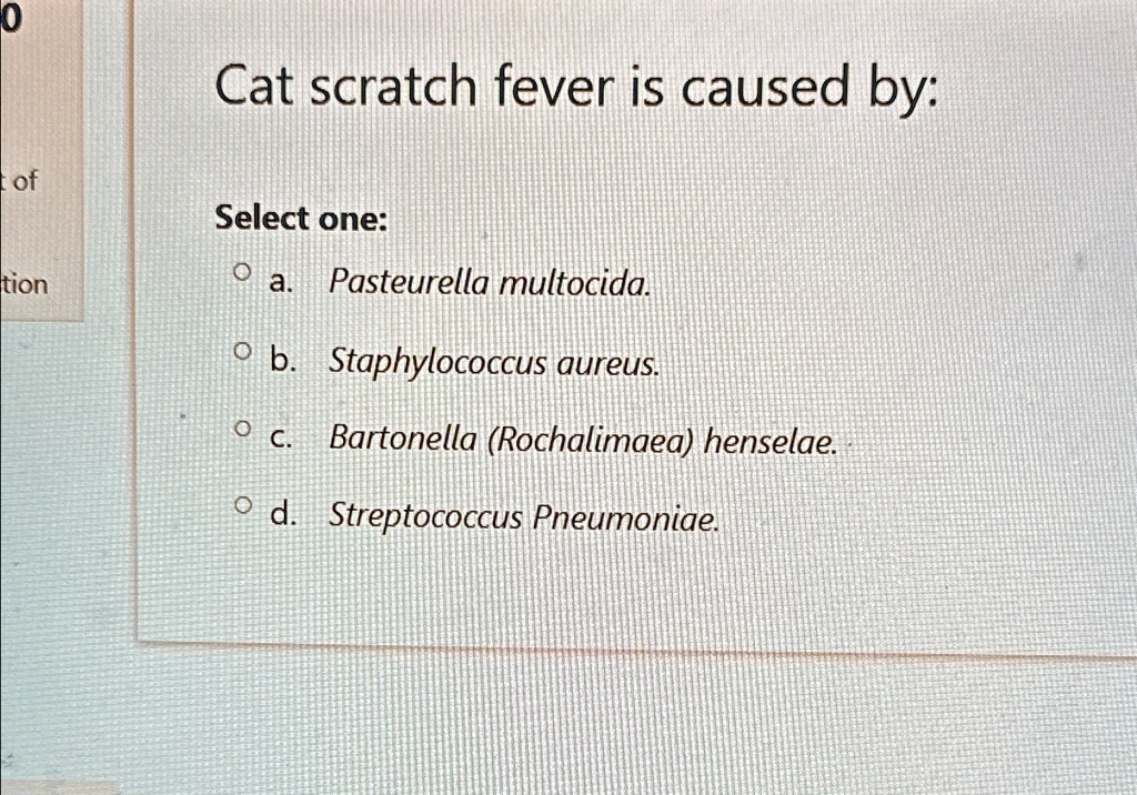 Cat scratch fever is caused by: Select one: a. Pasteurella multocida. b ...