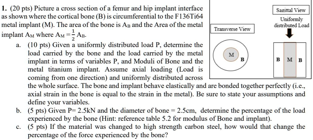 1. (20 pts) Picture a cross section of a femur and hip...