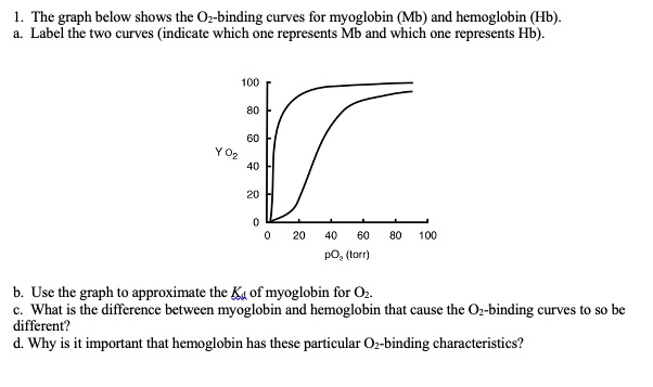SOLVED: The graph below shows the O2-binding curves for myoglobin (Mb) and hemoglobin (Hb ...