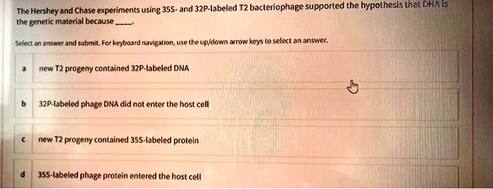 SOLVED: The Hershey and Chase experiments using 35S- and 32P-labeled T2 ...