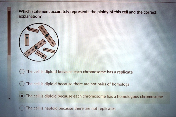 which statement accurately represents the ploidy of this cell and the ...