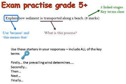 please answer in full detail using proper subject terminology and they ...