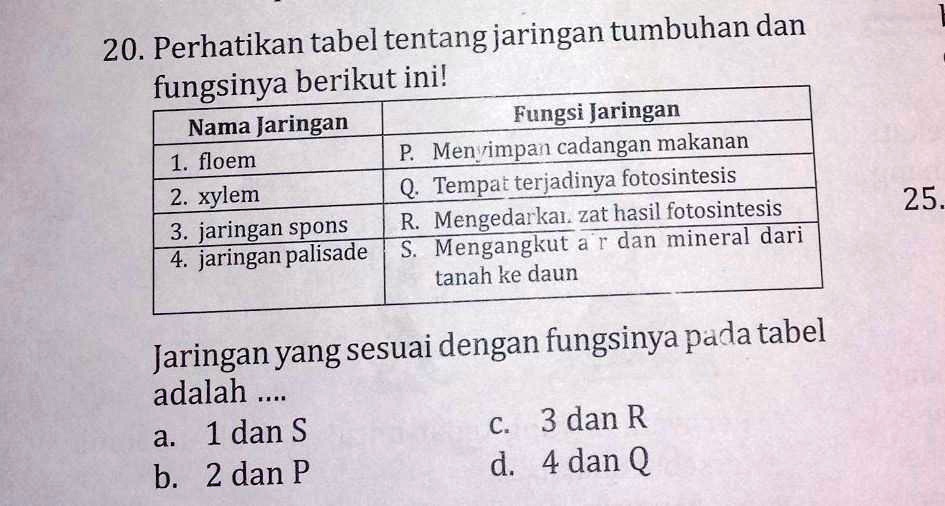 SOLVED: jaringan yang sesuai dengan fungsinya pada tabel adalah a.1 dan ...