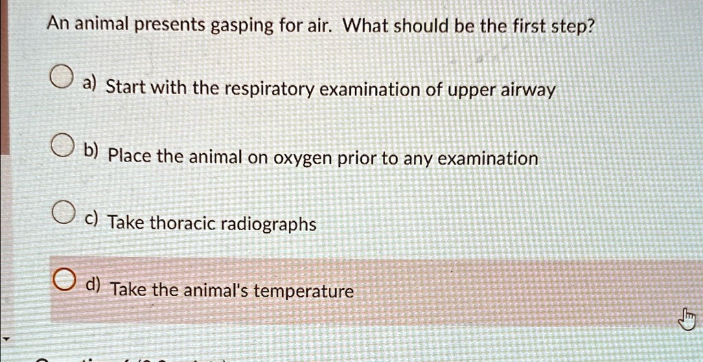 SOLVED: An animal presents gasping for air. What should be the first ...