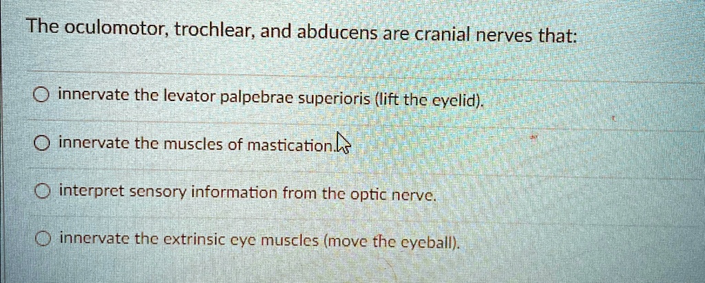 The oculomotor, trochlear, and abducens are cranial nerves that ...