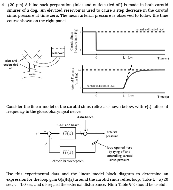 4. (20 pts) A blind sack preparation (inlet and outlets tied off) is ...