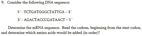 SOLVED: Consider the following DNA sequence: TCTGATGGGCTATTGA - 3 3 ...