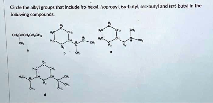 Circle the alkyl groups that include iso-hexyl, isopropyl, iso-butyl ...