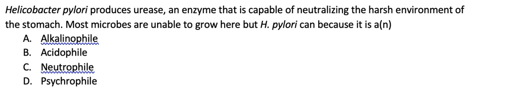 SOLVED: Helicobacter pylori produces urease, an enzyme that is capable ...