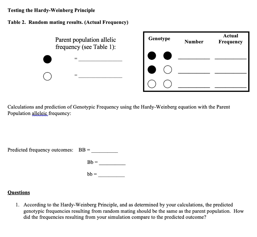 Testing the Hardy-Weinberg Principle Table 2. Random mating...