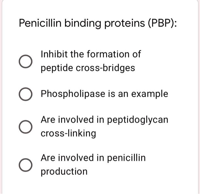 SOLVED: Penicillin binding proteins (PBP): Inhibit the formation of ...