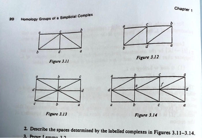 SOLVED: Text: Homology Groups of Simplicial Complex Figure 3.12 Figure ...
