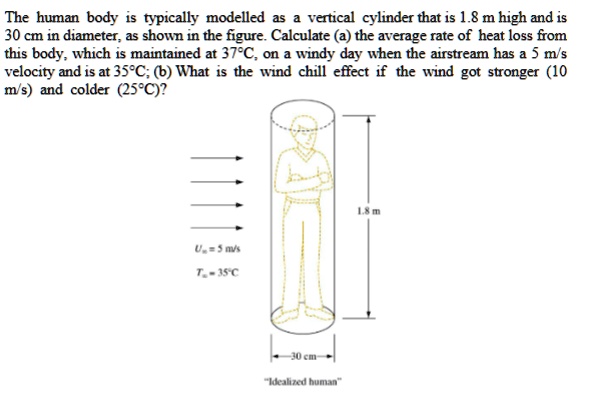 The human body is typically modelled as a vertical cylinder that is 1.8 ...