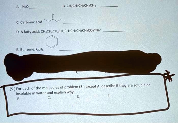 A H2o B Ch3ch2ch2ch2ch3 C Carbonic Acid D A Fatty Acid 6321