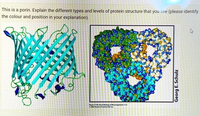 This is a porin. Explain the different types and levels of...