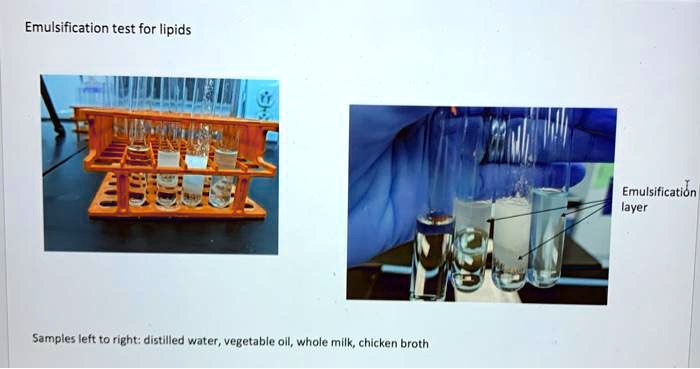 SOLVED: Emulsification test for lipids Emulsification layer Samples ...