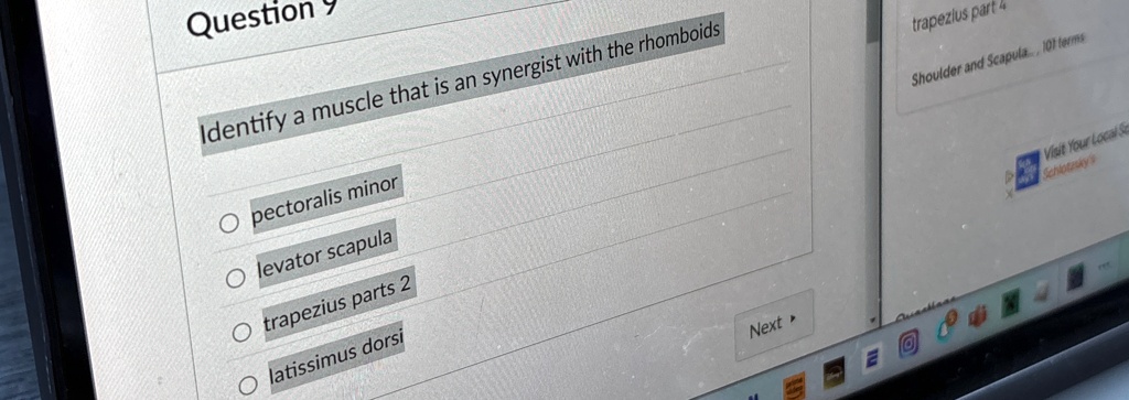 [GET ANSWER] question 9 identify a muscle that is an synergist with the rhomboids pectoralis ...