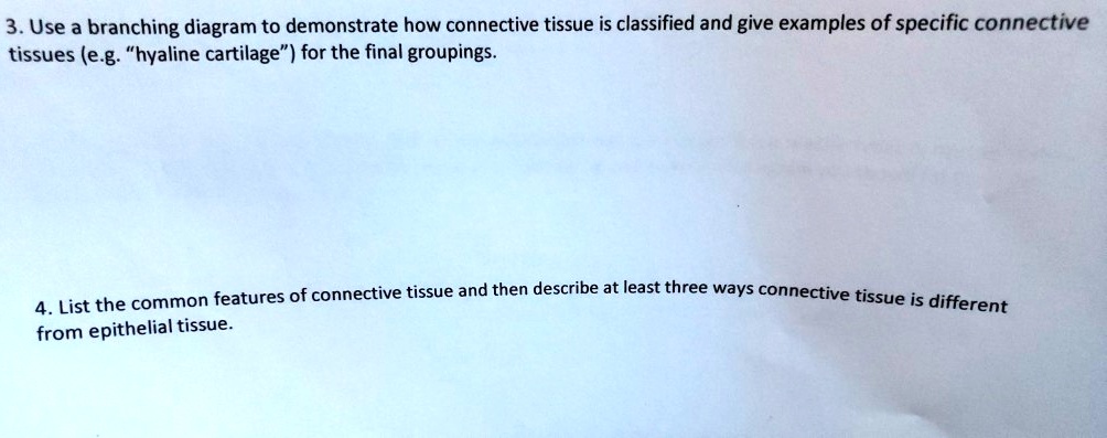 SOLVED: 3. Use a branching diagram to demonstrate how connective tissue ...
