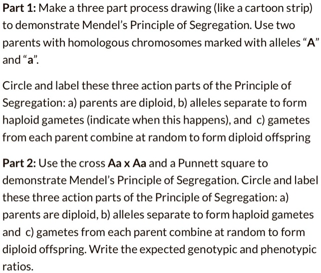 part 1 make a three part process drawing like a cartoon strip to ...