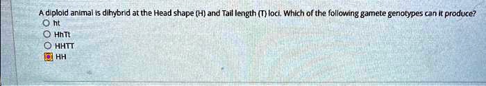 SOLVED: A diplold animal is dihybrid at the Head shape H) and Tail ...