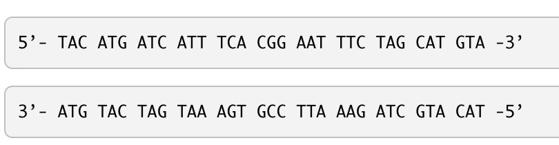 SOLVED: 5' TAC ATG ATC ATT TCA CGG AAT TTC TAG CAT GTA -3' 3' ATG TAC ...