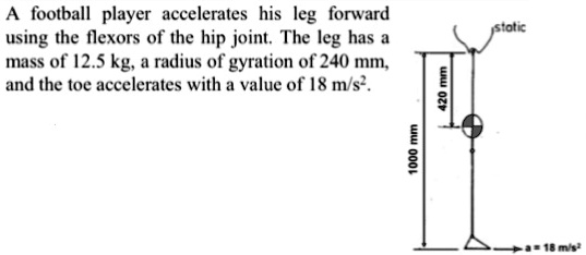 A football player accelerates his leg forward using the flexors of the ...