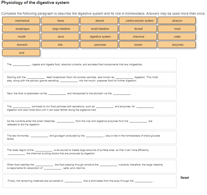 SOLVED: Complete the following paragraph to describe the digestive ...