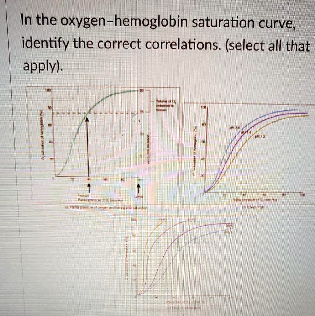 SOLVED: In the oxygen-hemoglobin saturation curve, identify the correct ...