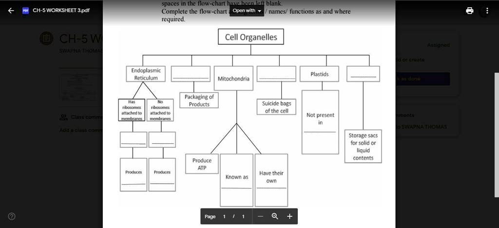 ? CH-5 WORKSHEET 3.pdf ? CH-5 W spaces in the flow-chart have been left blank. Complete the flow ...