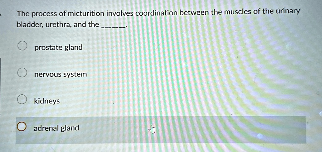 the process of micturition involves coordination between the muscles of ...