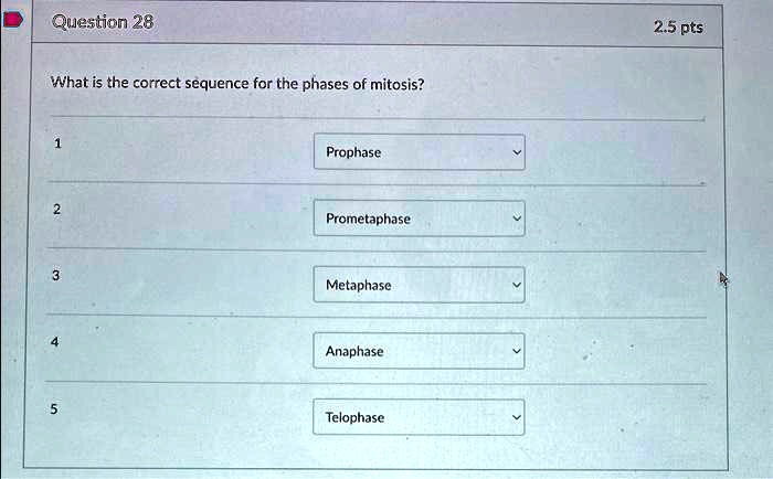 Question 28 What is the correct sequence for the phases of mitosis? 1 ...