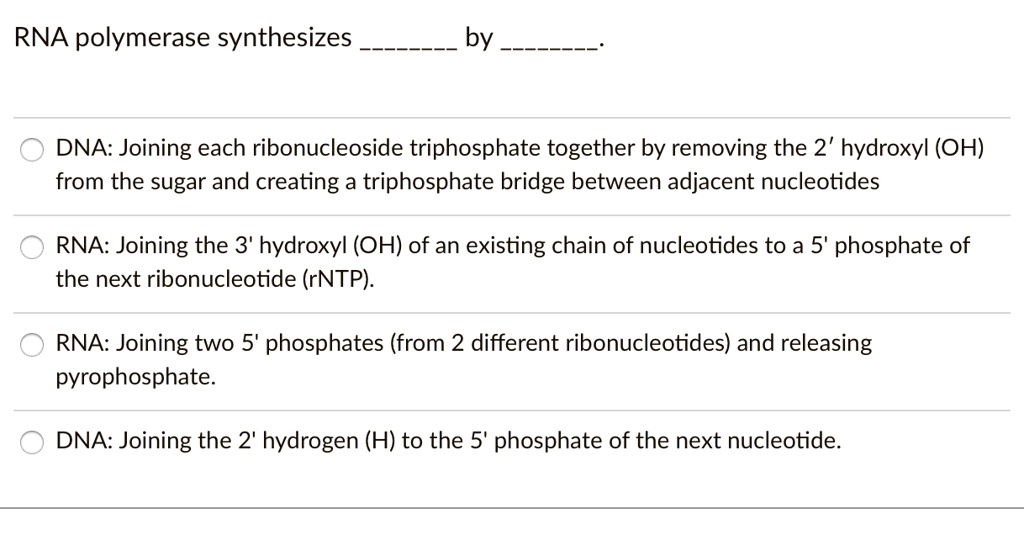 Ribonucleoside Triphosphate Metabolic Process