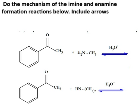 Do the mechanism of the imine and enamine formation reactions below ...