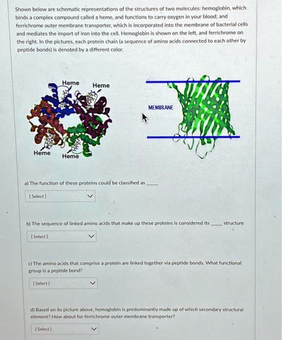 [GET ANSWER] Shown below are schematic representations of the ...