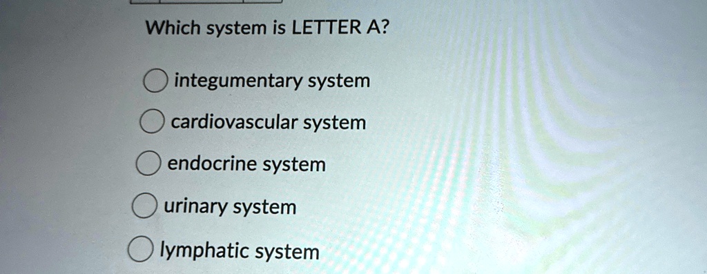 which system is letter a integumentary system cardiovascular system ...