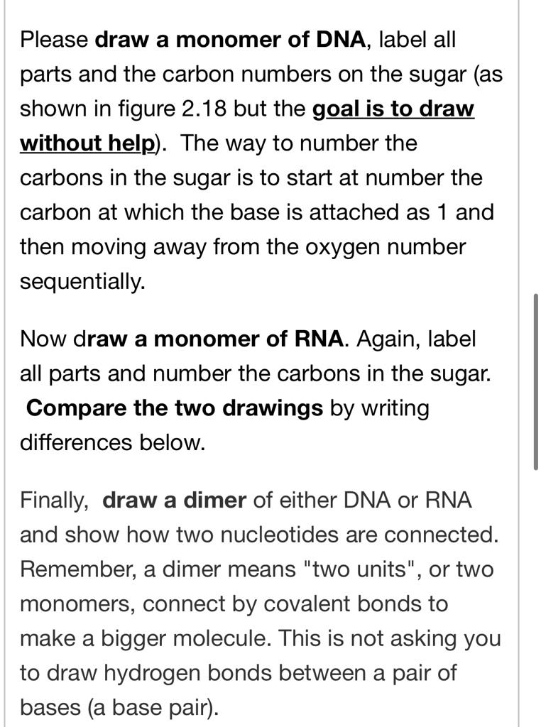 SOLVED: Please draw a monomer of DNA, label all parts and the carbon ...