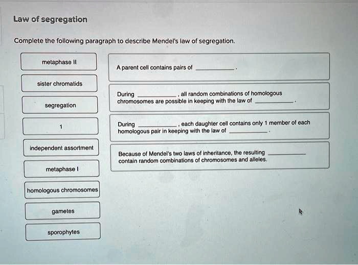 SOLVED: What are these answers? Law of Segregation Complete the ...
