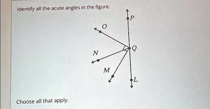 SOLVED: Identify all the acute angles in the figure. Choose all that ...