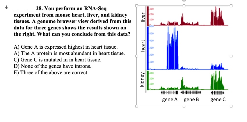 SOLVED: 28. You perform an RNA-Seq experiment from mouse heart; liver, and kidney tissues A ...