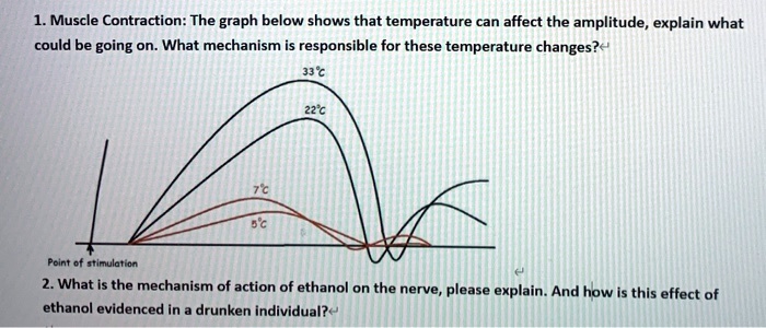 SOLVED: Muscle Contraction: The graph below shows that temperature can ...