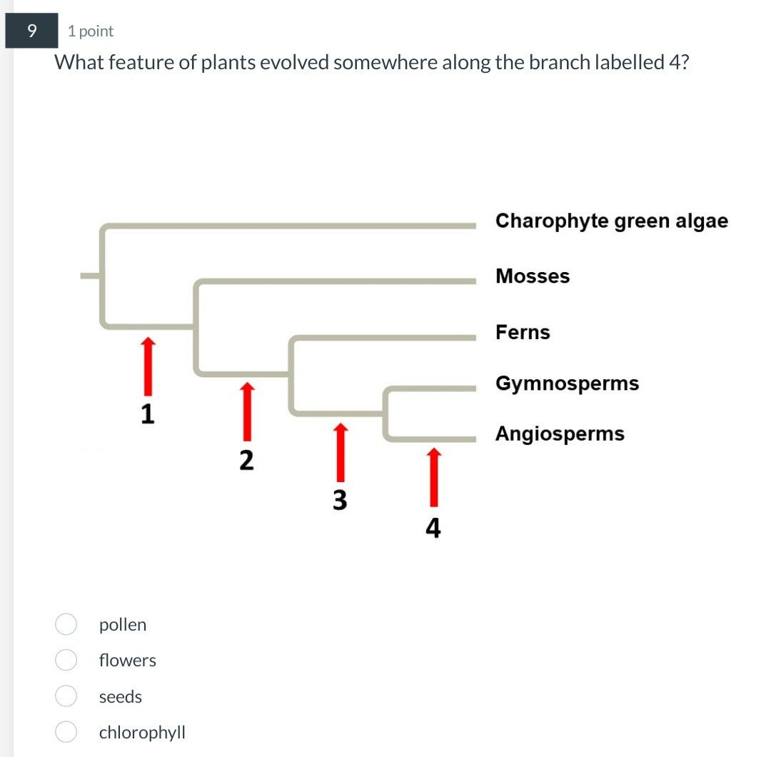 9 1 point What feature of plants evolved somewhere along the branch ...