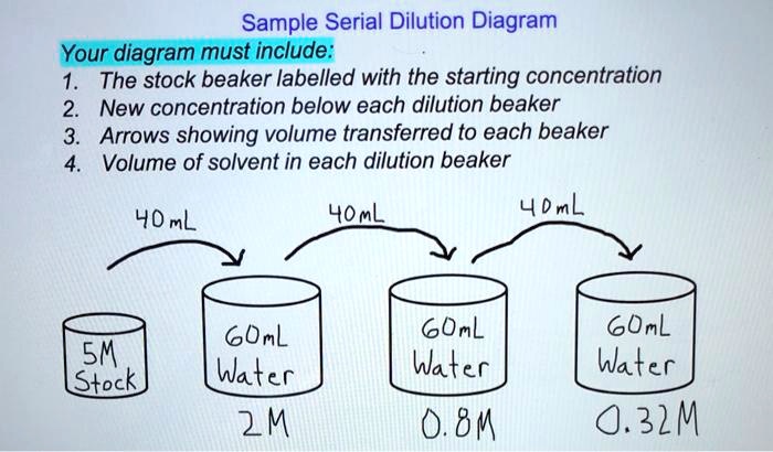 SOLVED: Sample Serial Dilution Diagram Your diagram must include: The ...