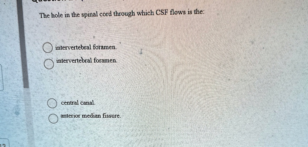 [GET ANSWER] the hole in the spinal cord through which csf flows is the ...