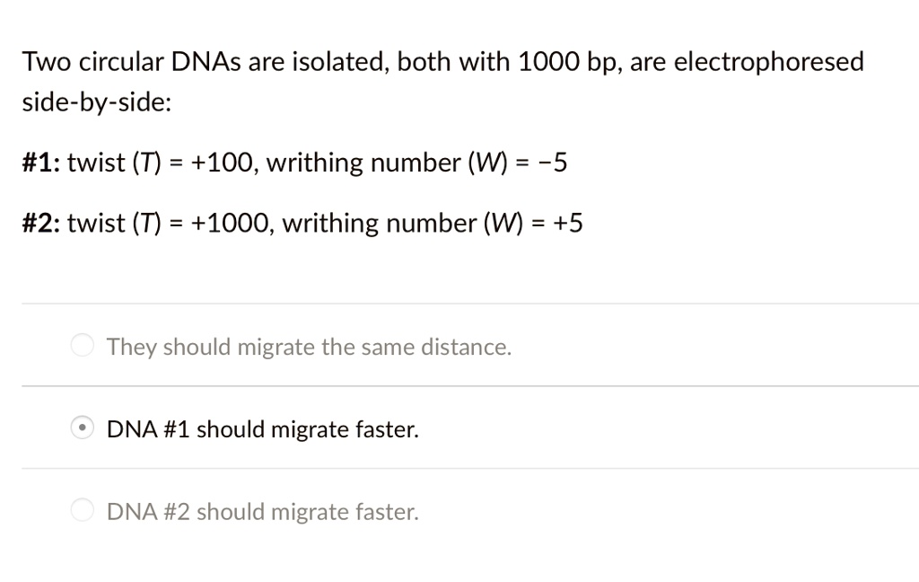 SOLVED: Two circular DNAs are isolated, both with 1000 bp, are ...