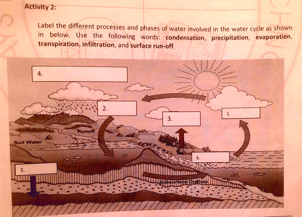 SOLVED: Label the different processes and phases of water involved in ...