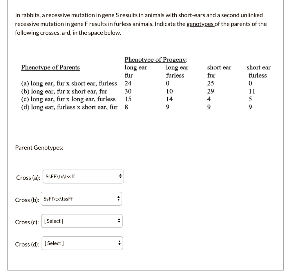 SOLVED: In rabbits, a recessive mutation in gene S results in animals ...