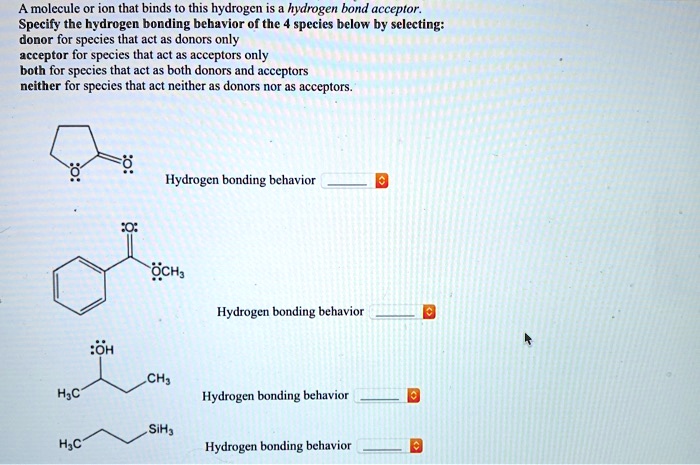 SOLVED: A molecule or ion that binds to this hydrogen is a hydrogen ...
