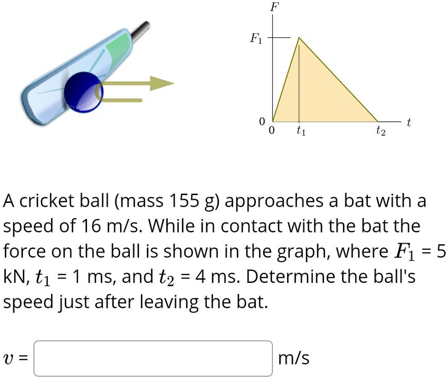 A cricket ball (mass 155 g) approaches a bat with a speed of 16 m/s ...