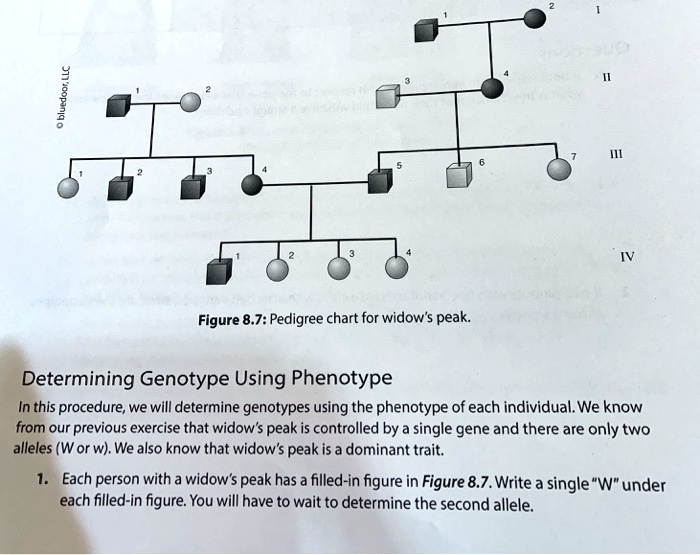 bluedoor, LLC 2 3 2 I 4 3 ? 2 7 111 5 6 2 3 4 IV Figure 8.7: Pedigree ...
