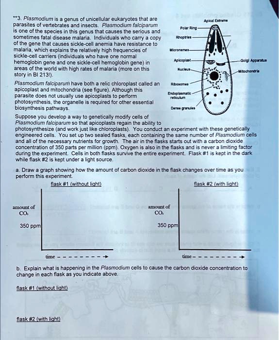 SOLVED: Plasmodium is a genus of unicellular eukaryotes that are ...